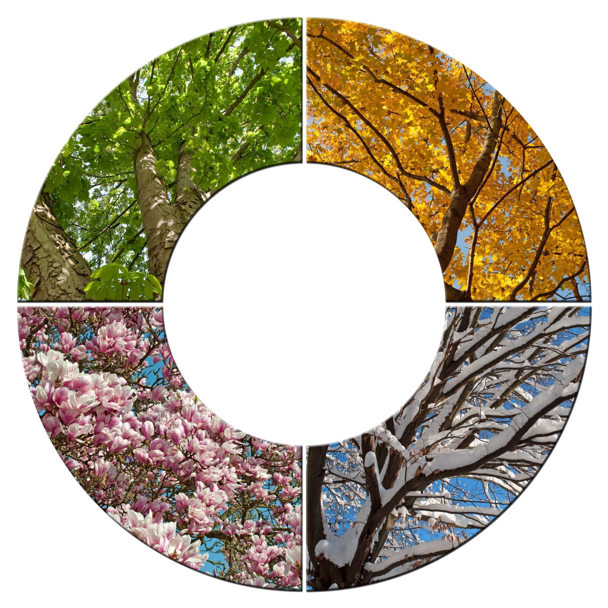 Understanding climate factors related to choosing an adhesive